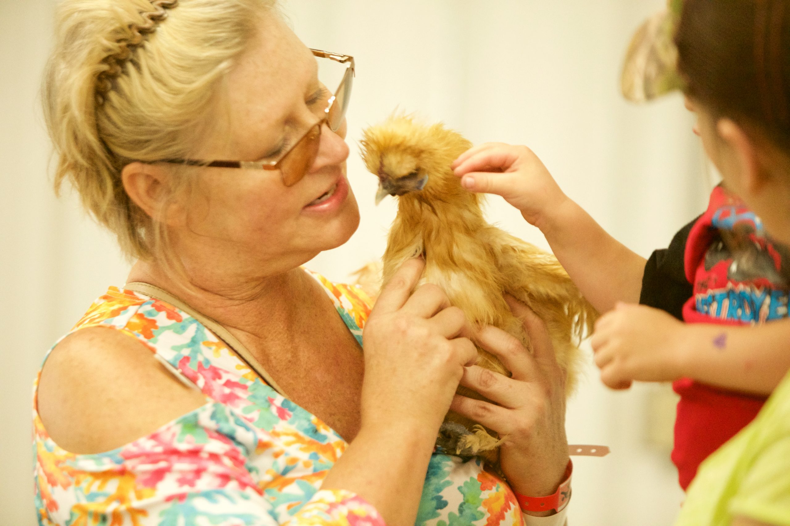 Therapy Chickens on Display at the Big Show - SweetwaterNOW