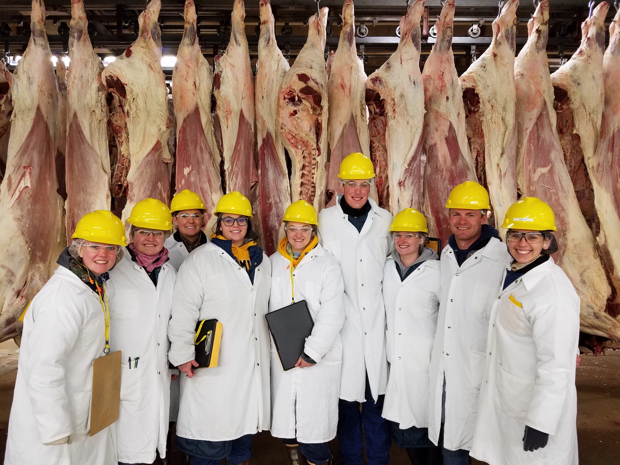 UW Meat Judging Team Makes a Comeback - SweetwaterNOW