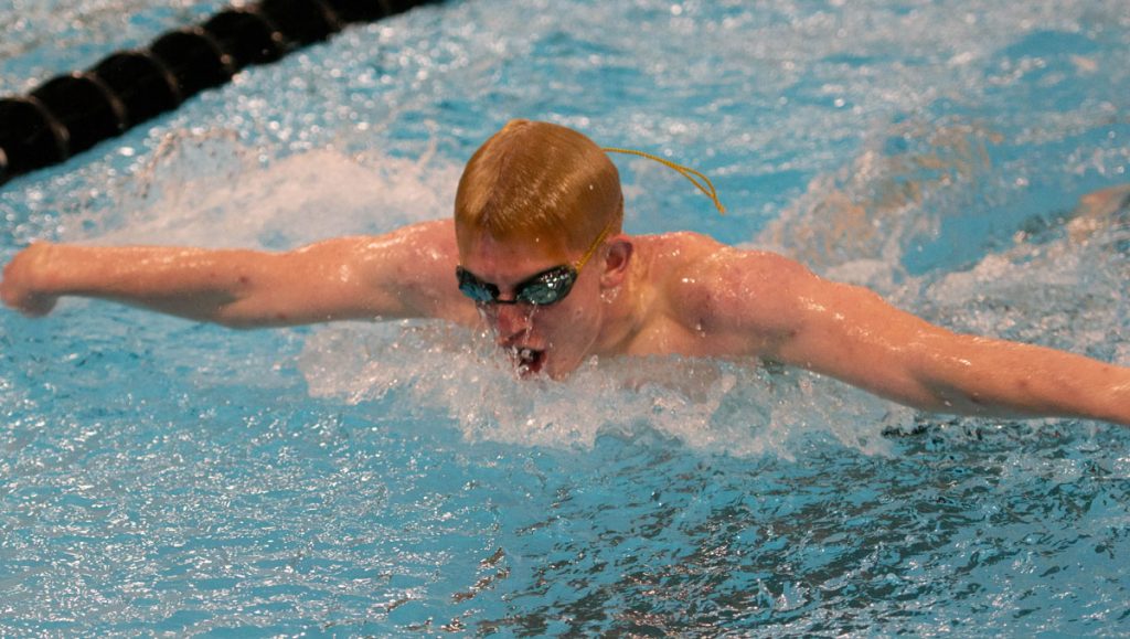 Tigers Swim Hosts Wolves for Last Dual of the Season - SweetwaterNOW
