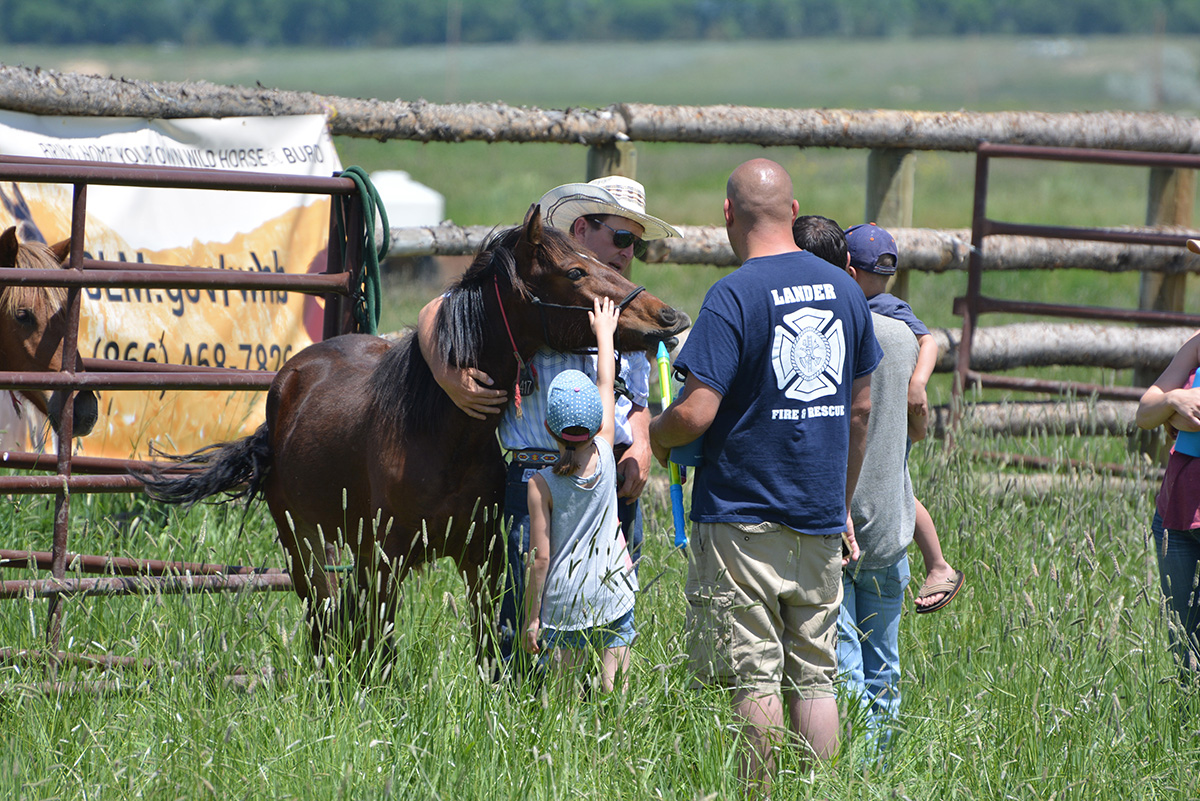 BLM and Lander Wild Horse Ranch Offer Adoption and Free Public Days ...