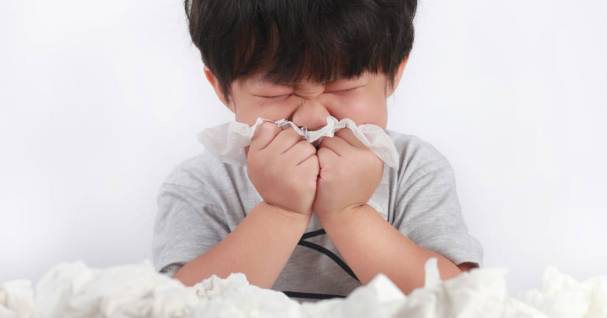 Flu Starting to Get Active In Wyoming - SweetwaterNOW