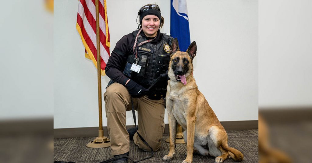 Sweetwater County Sheriff's Office K9 to Receive Body Armor - SweetwaterNOW