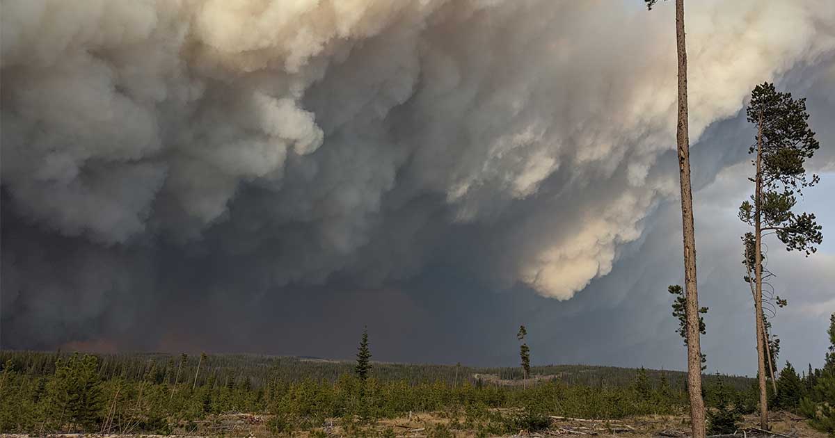 Cold Front Helps to Suppress Mullen Fire Growth, Remains at 78,000 ...