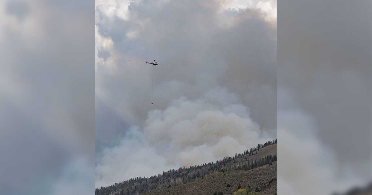 Mullen Fire Reaches Nearly 20,000 Acres; Significant Growth Expected ...