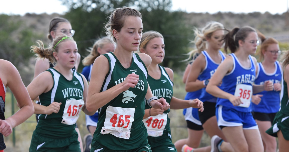 Wolves Finish in Top 10 at State Cross Country - SweetwaterNOW
