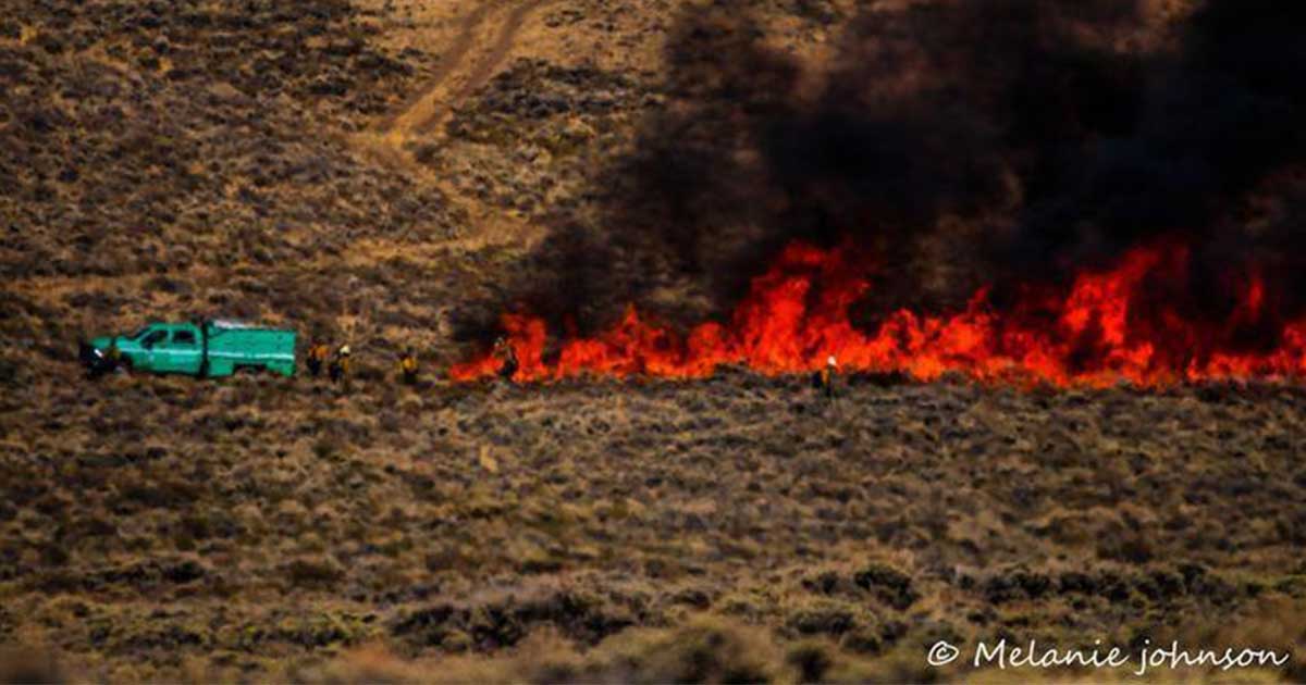 Mullen Fire Behavior Minimal Tuesday; Crews Cautious Due to Strong ...