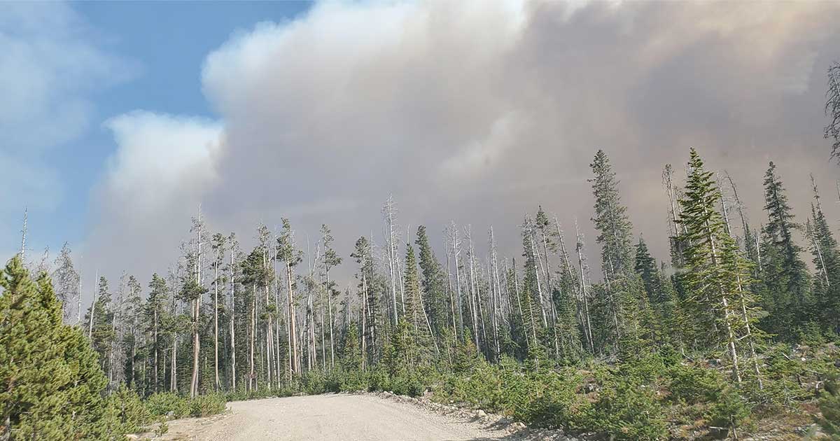 Mullen Fire Now 81 Percent Contained - SweetwaterNOW