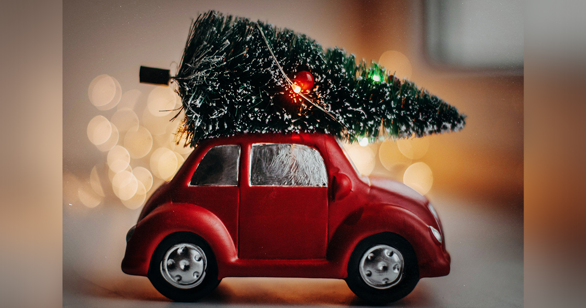 Christmas Tree Permits Now Available for BLM Public Lands - SweetwaterNOW