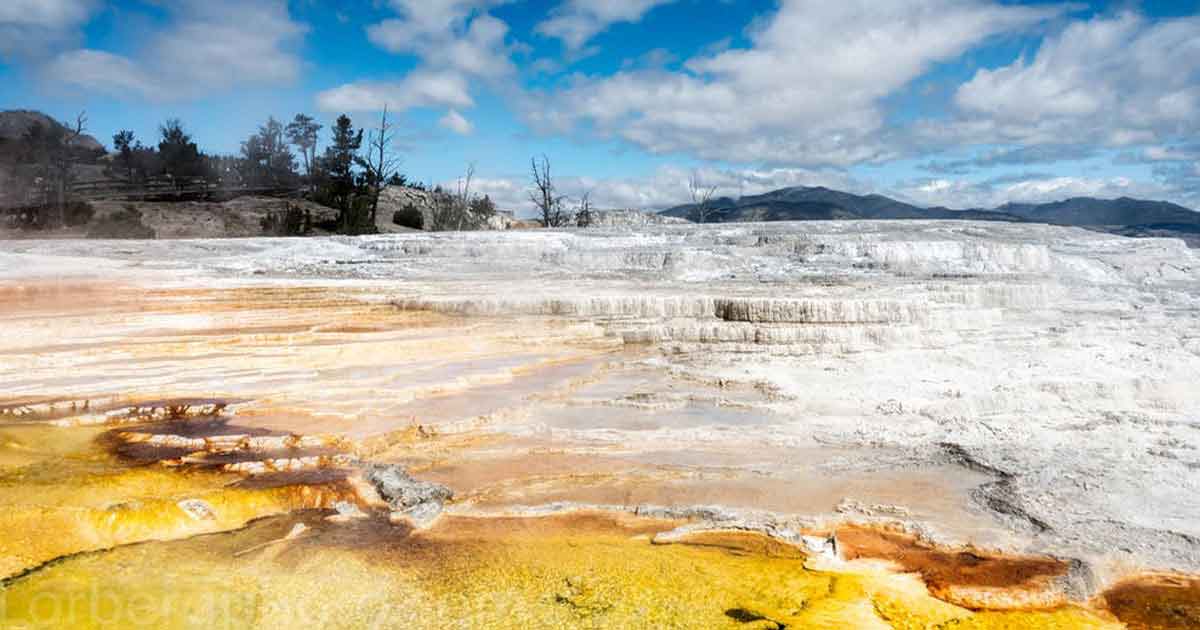 Yellowstone Sets Another Visitation Record - SweetwaterNOW