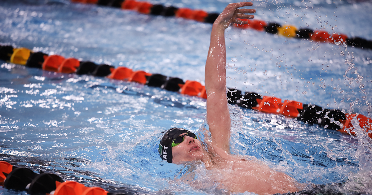 Swimming and Diving Results: Wolves Take First, Tigers Follow in Second ...