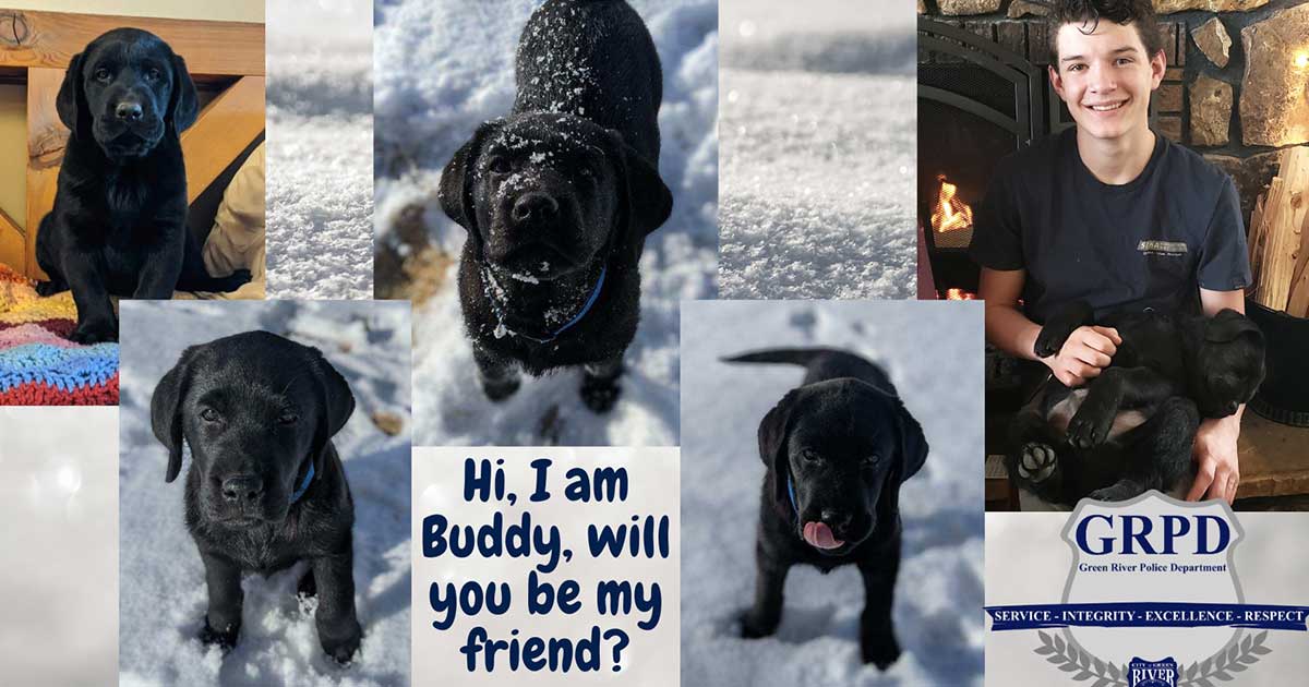 Therapy K9 Program Receives Green Light from Green River City Council ...