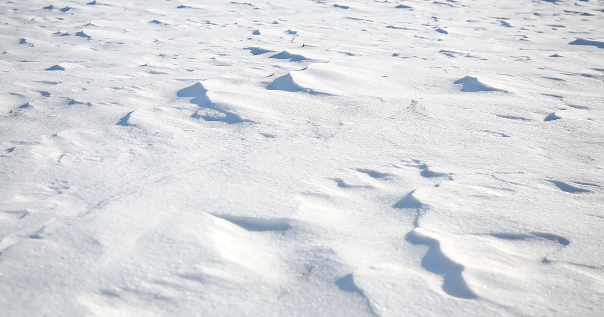 Wyoming's Current Snowpack Below This Time Last Year - SweetwaterNOW