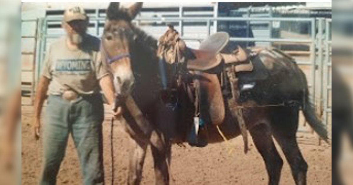 William Ted Wallen (February 8, 1942 - April 30, 2022) - SweetwaterNOW