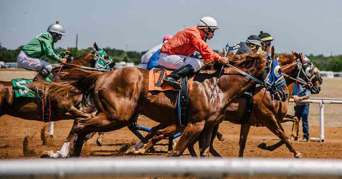 Horse Racing Docuseries Films at Sweetwater Downs - SweetwaterNOW