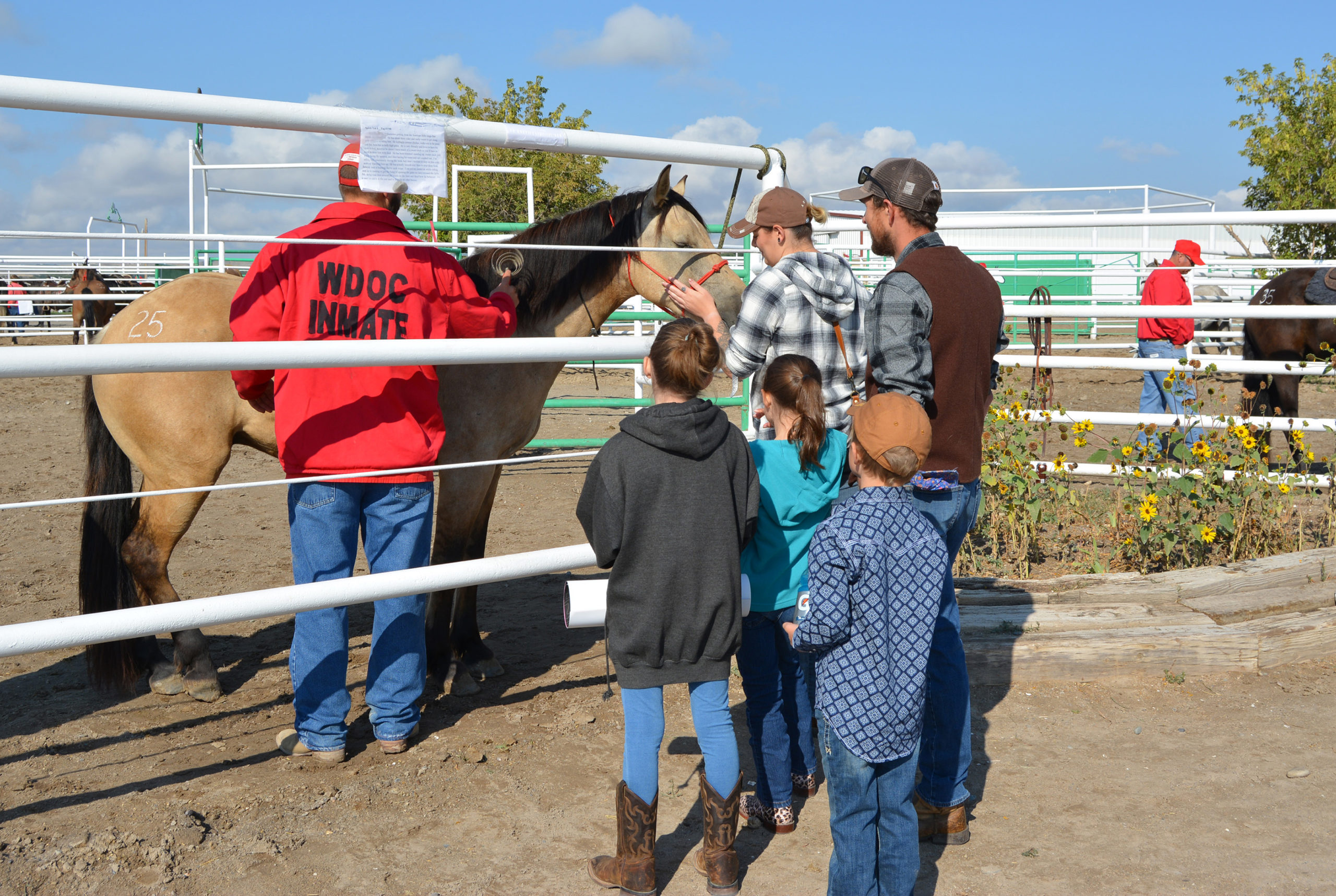 All 39 Wild Horses, Burros Gentled by Honor Farm Inmates Adopted ...