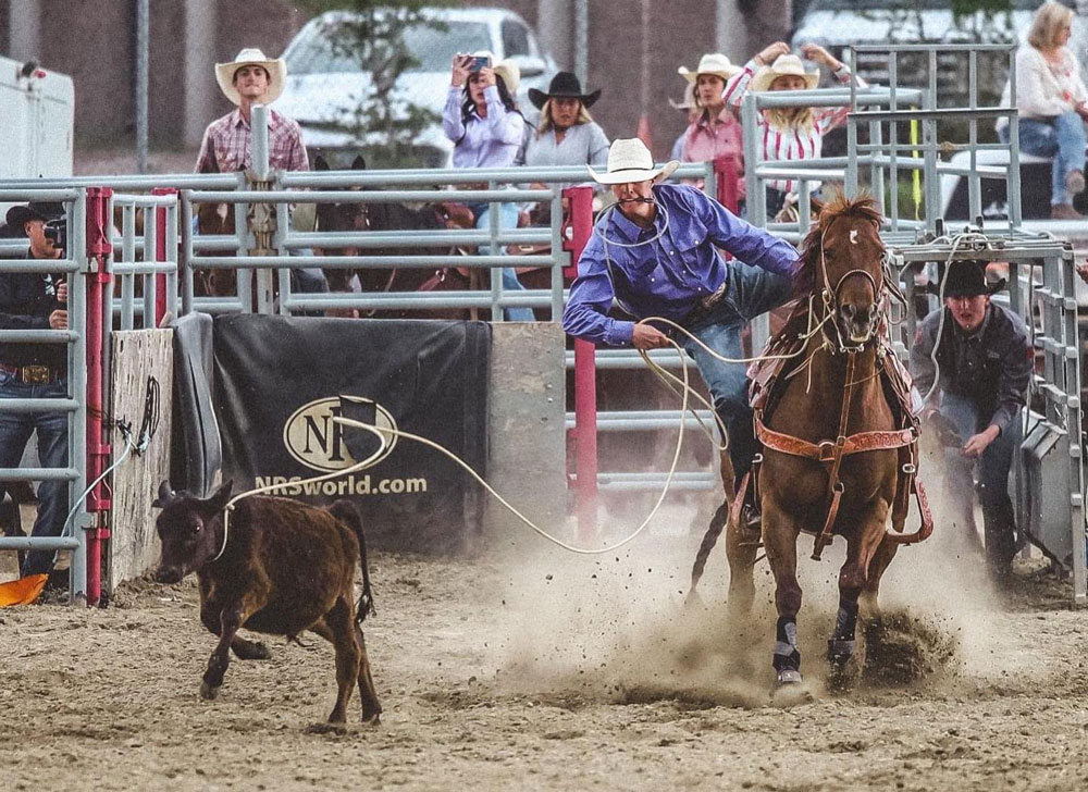 Year in Review: Top Photos of 2022 - SweetwaterNOW