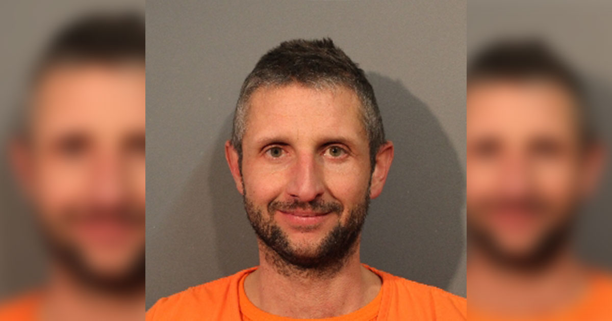 Man Who Released Bobcat from Trap Receives Probation - SweetwaterNOW