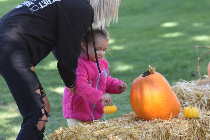 Fall Into Fall Festival Name One of the 9 Best Fall Festivals in ...