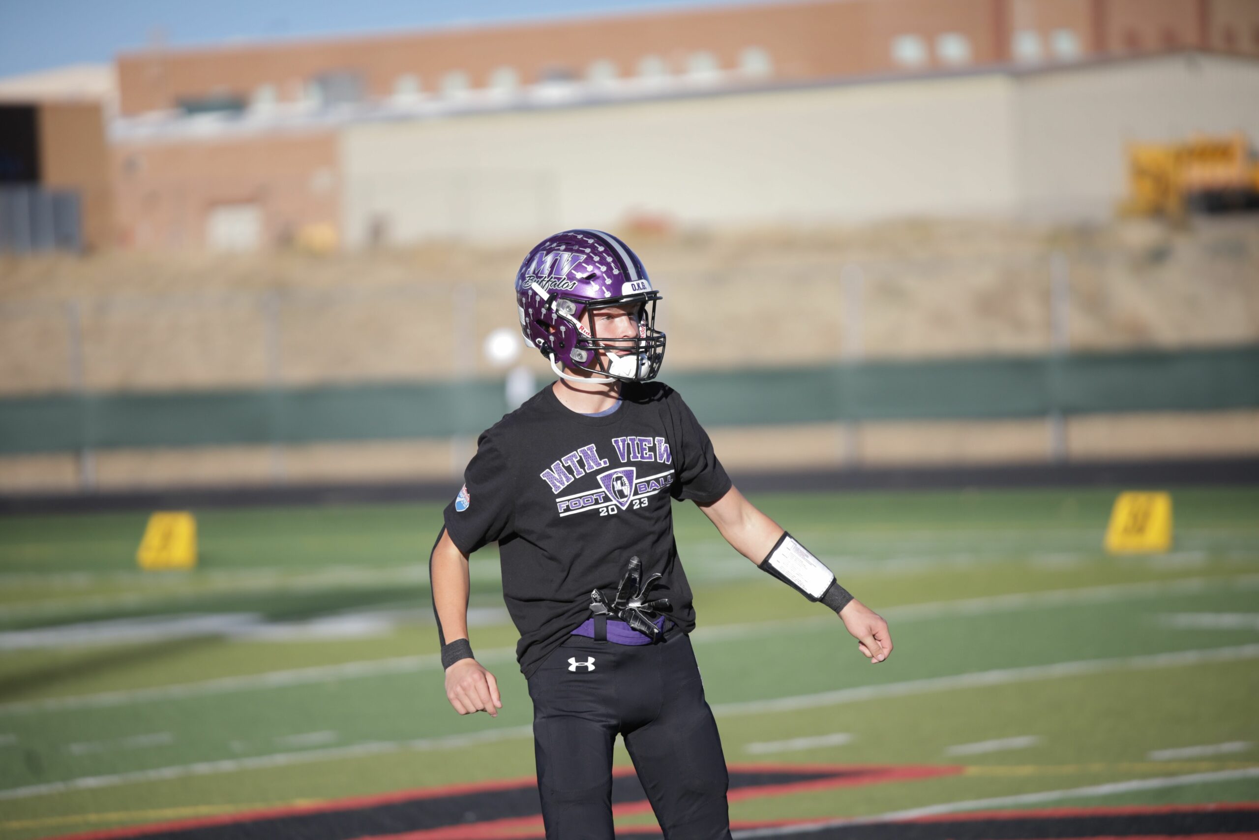 This Week on the Gridiron: Football History the Semifinals Matchups ...