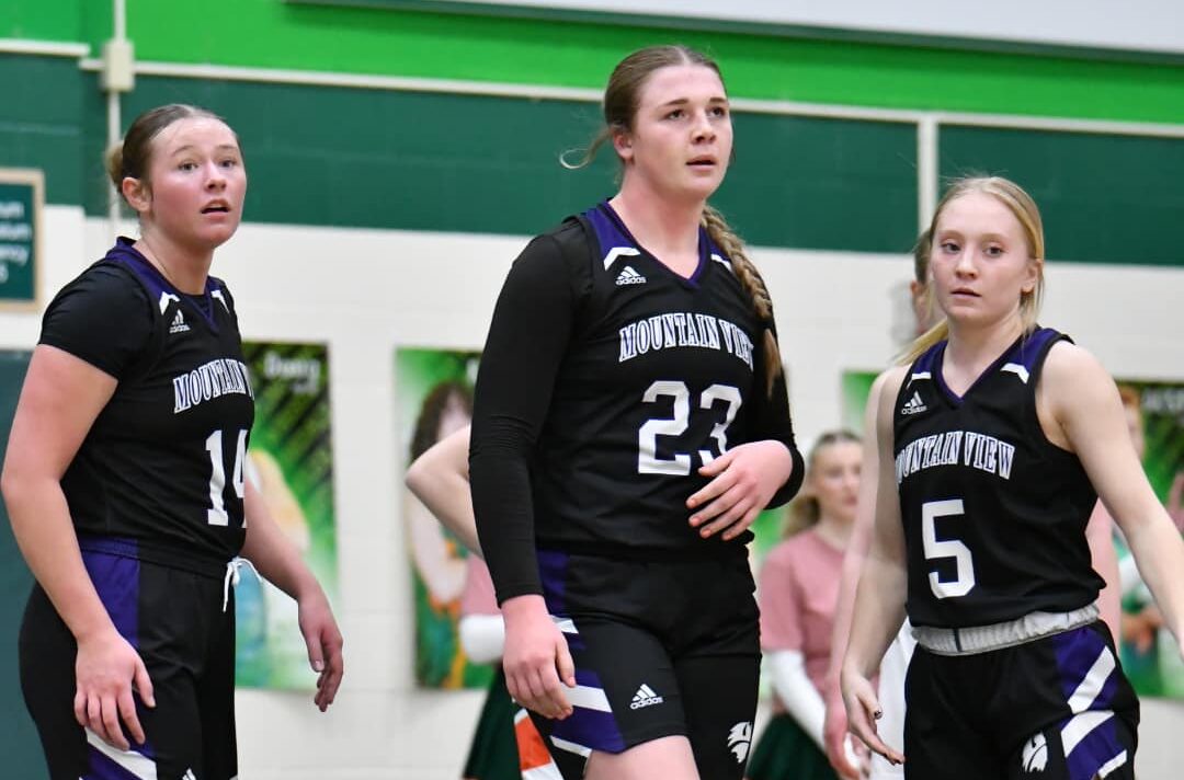 Mountain View’s McKinlee Covolo Signs with Northwest College Basketball ...